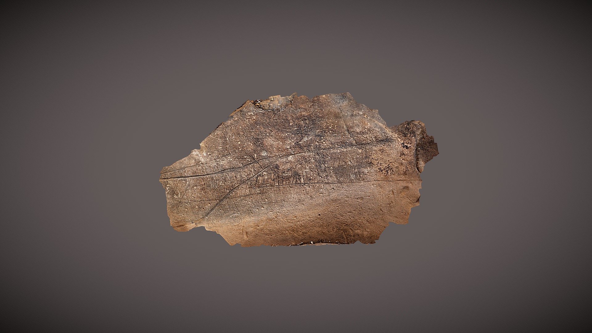 GTR Lámina 01 - 3D model by Jarenas (@Novatosssssss) [a99132f] - Sketchfab