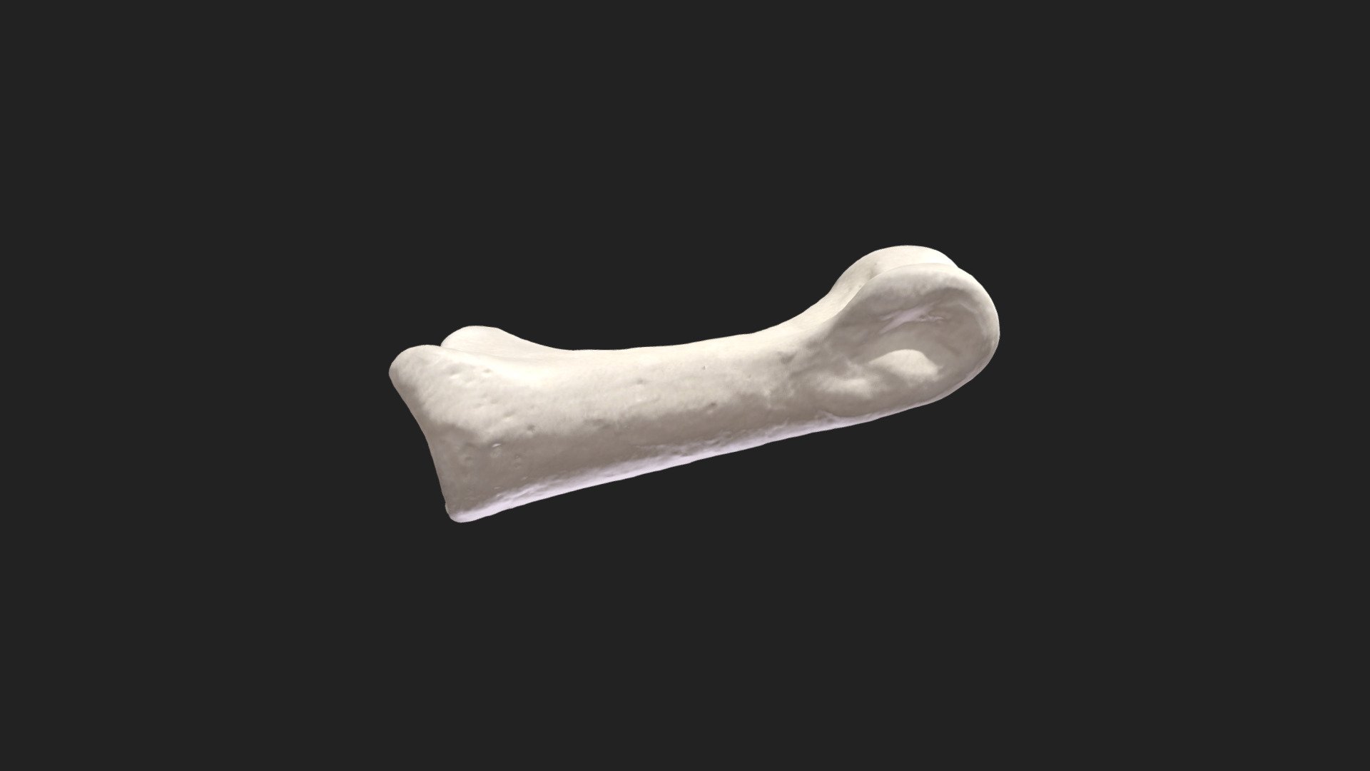 phalanx intermedium I chicken - 3D model by vetanatMunich [a9a2158 ...