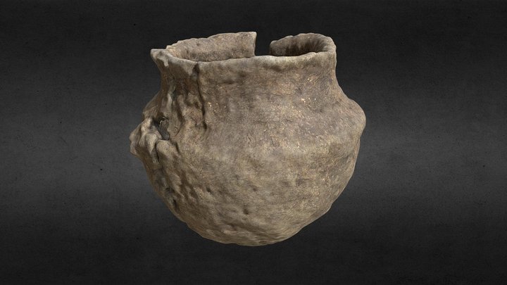 Rarity 3D models - Sketchfab