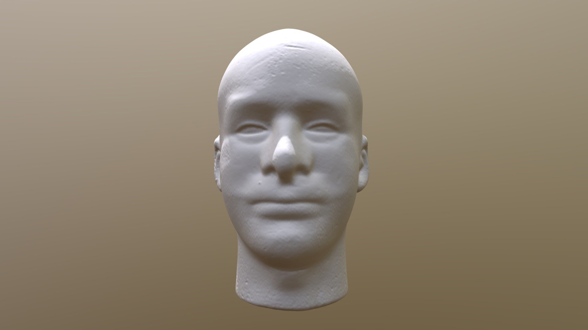 Styrofoam Bust (VCU_3D_4061) - 3D model by Virtual Curation Lab ...
