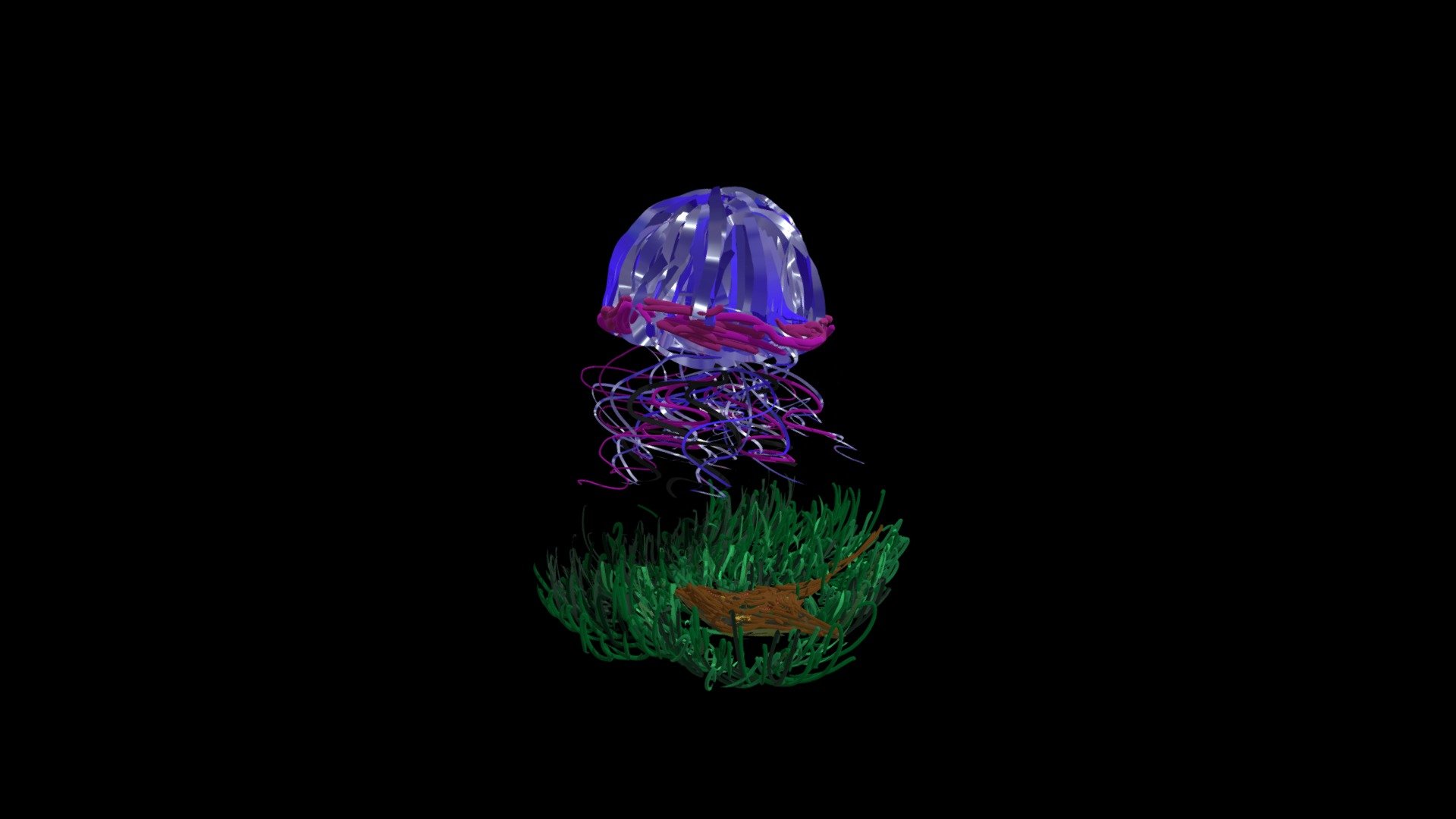 Jelly and ray - Download Free 3D model by michelle.cowans [a9a9dce ...
