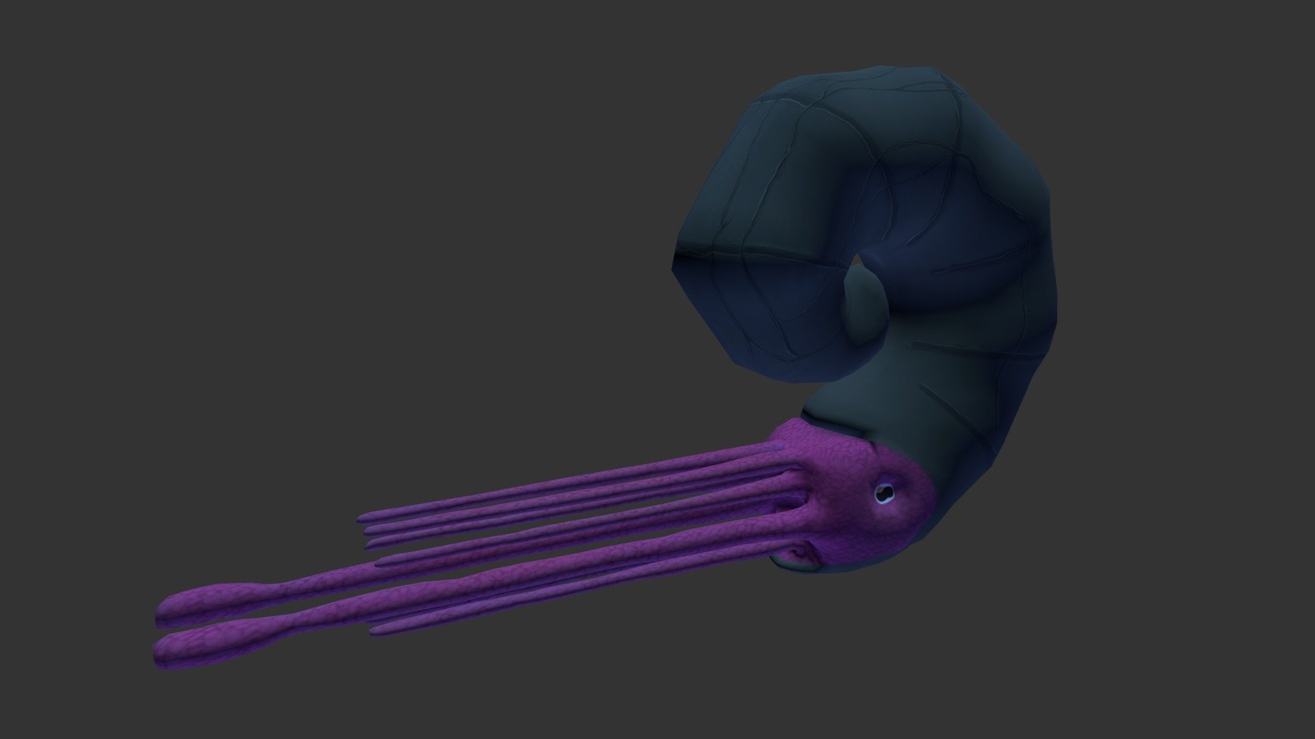 Ammonite - 3D model by sigtep [a9aac9d] - Sketchfab