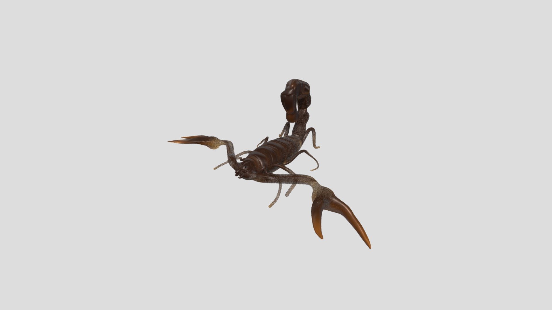 Scorpion / Alacrán - Download Free 3D model by diegolechugar [a9b135d ...