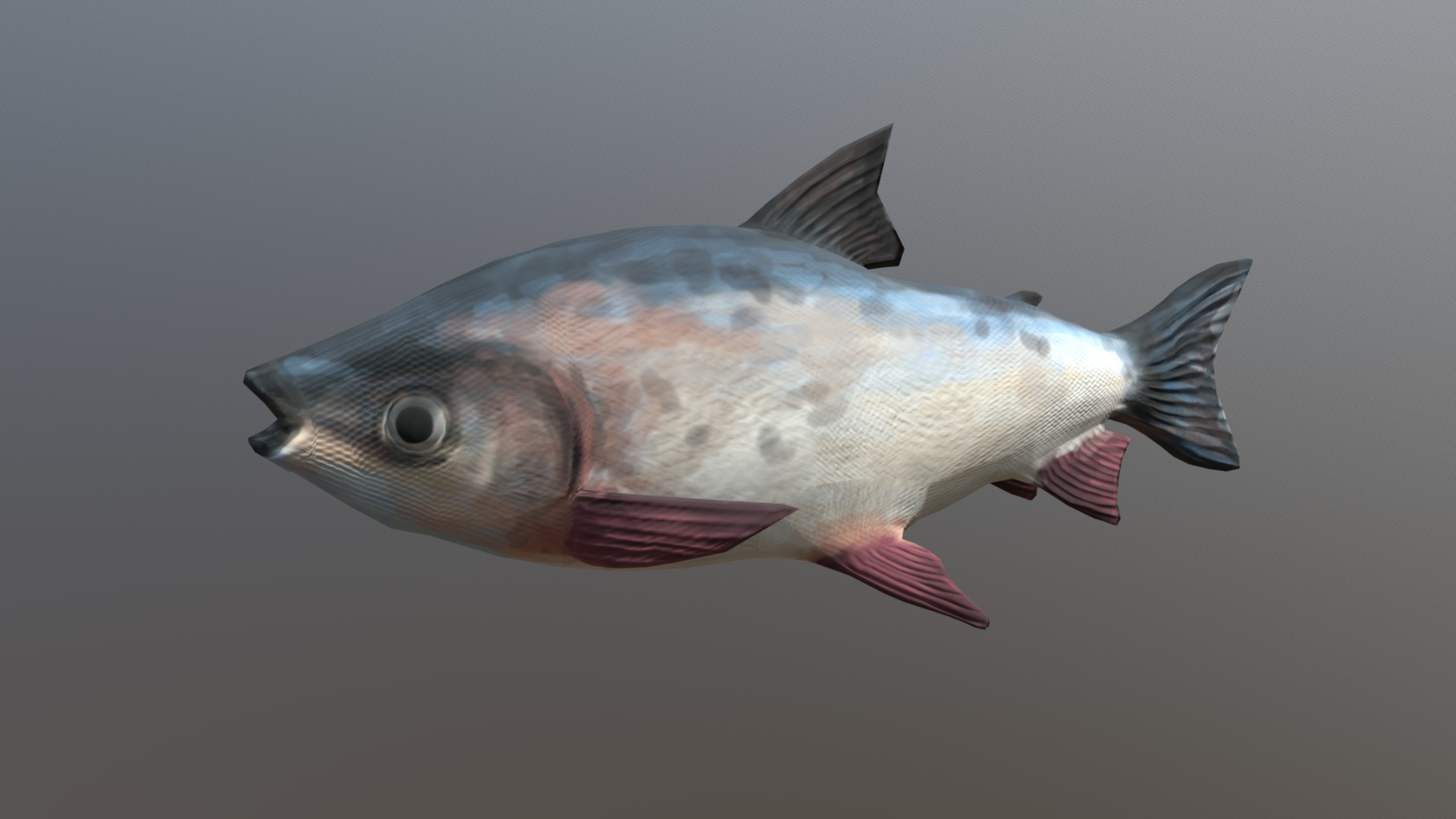 Bocachico - Buy Royalty Free 3D model by 3dlowpoly [a9b3bdb ...