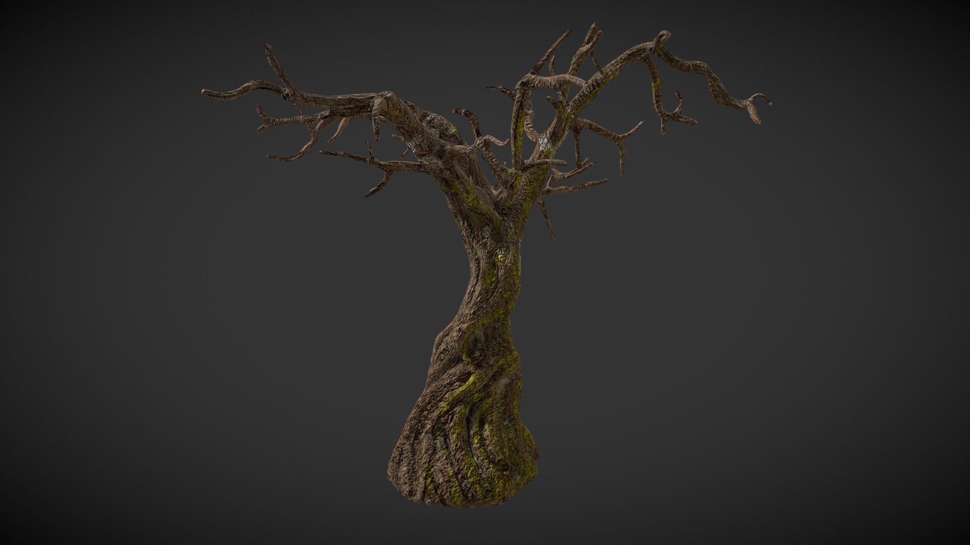 Old tree - 3D model by Gearen [a9b5217] - Sketchfab