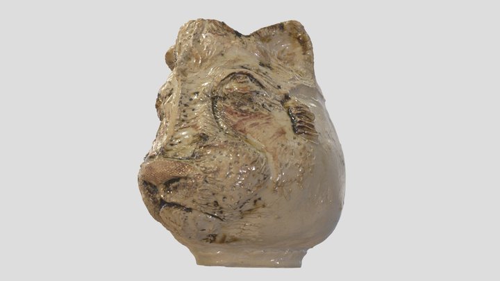 Goodwill 3D models - Sketchfab