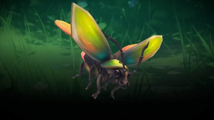 Firefly 3D models - Sketchfab