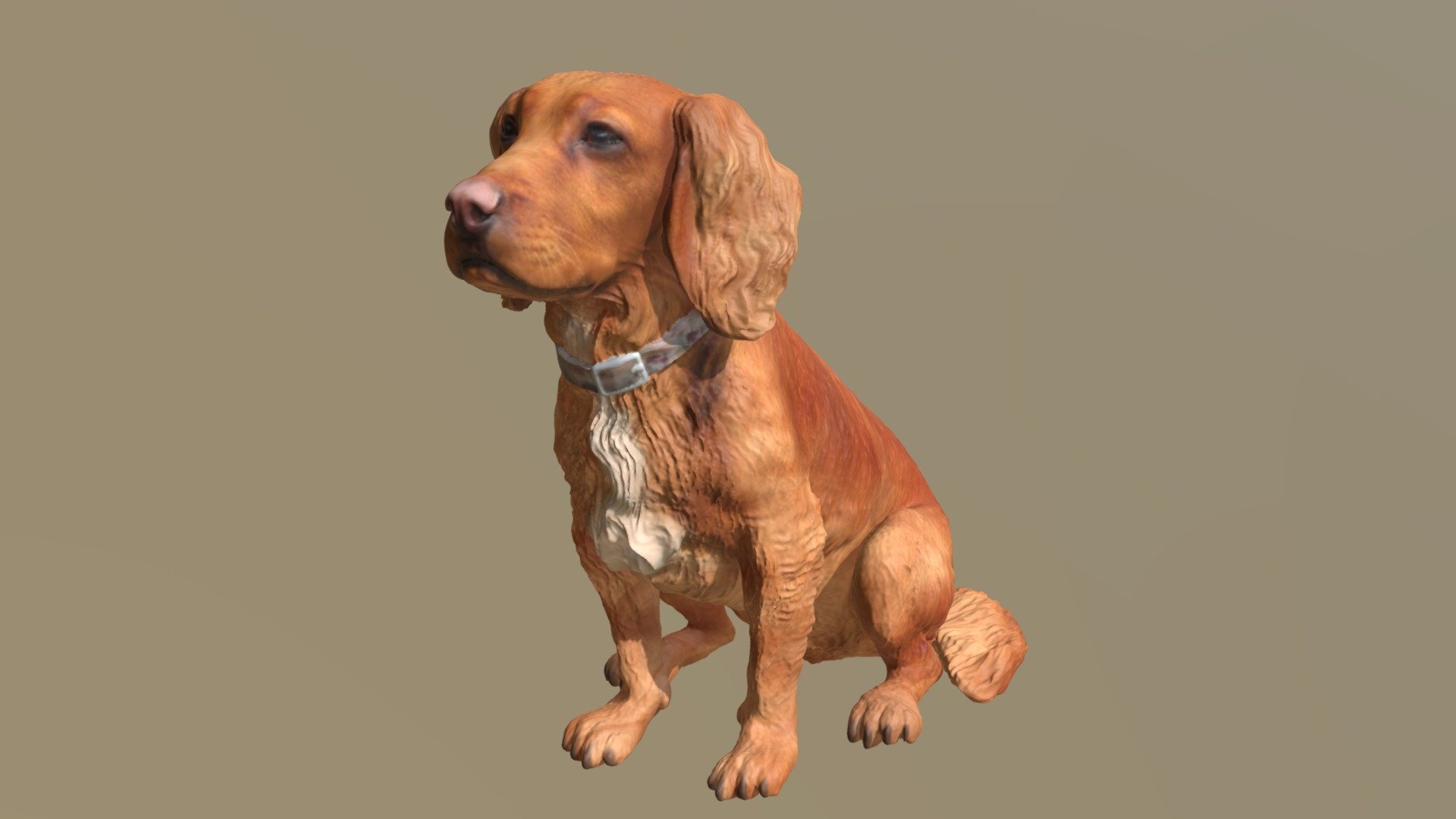 1904007- Bonnie- Cocker Spaniel - 3D model by Arty Lobster - Pet ...