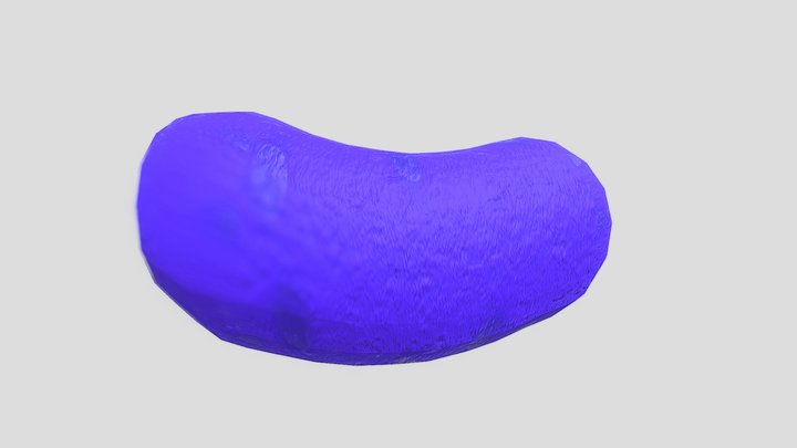 Jerry 3D models - Sketchfab
