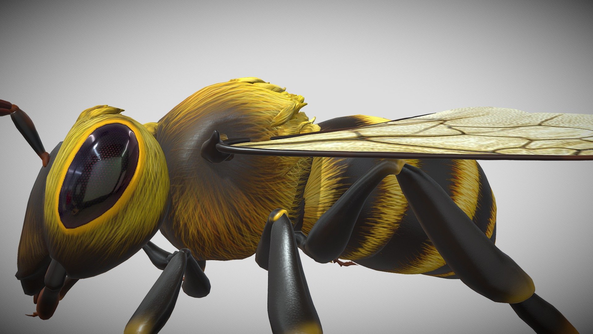 HONEYBEE - 3D model by M Junia (@majedjunia) [a9d83ef] - Sketchfab