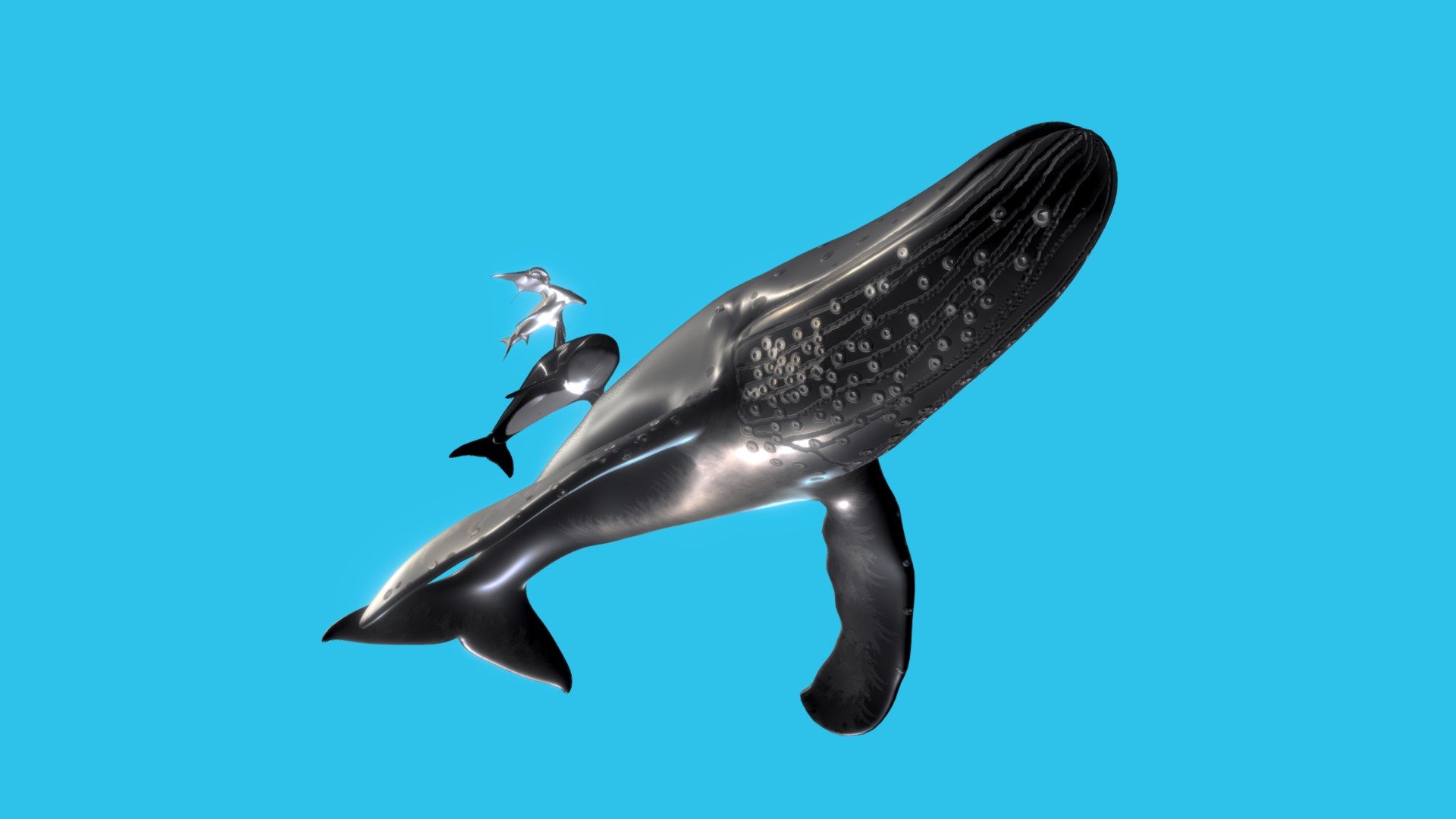 Sea creatures - Download Free 3D model by Lhimo [a9e5794] - Sketchfab