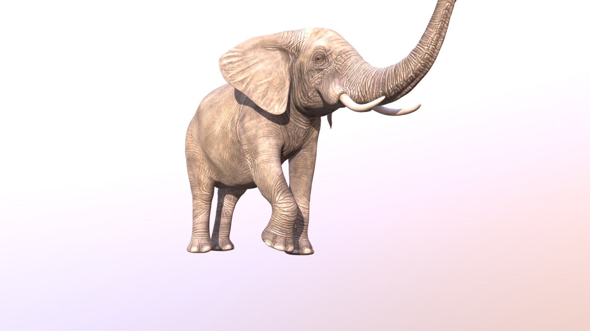 Elephant🐘-REalistic - Download Free 3D model by ᗰOᑎKEY ᗪ. ᒪᑌᖴᖴY ...