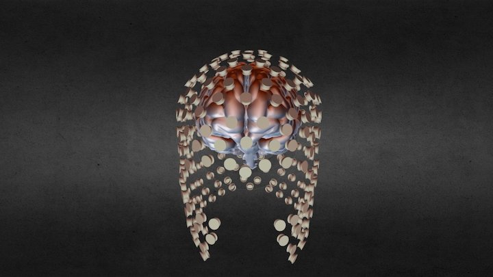 Eeg 3D models - Sketchfab