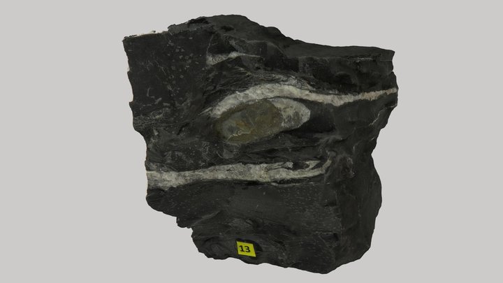 Sedimentary-structures 3D models - Sketchfab