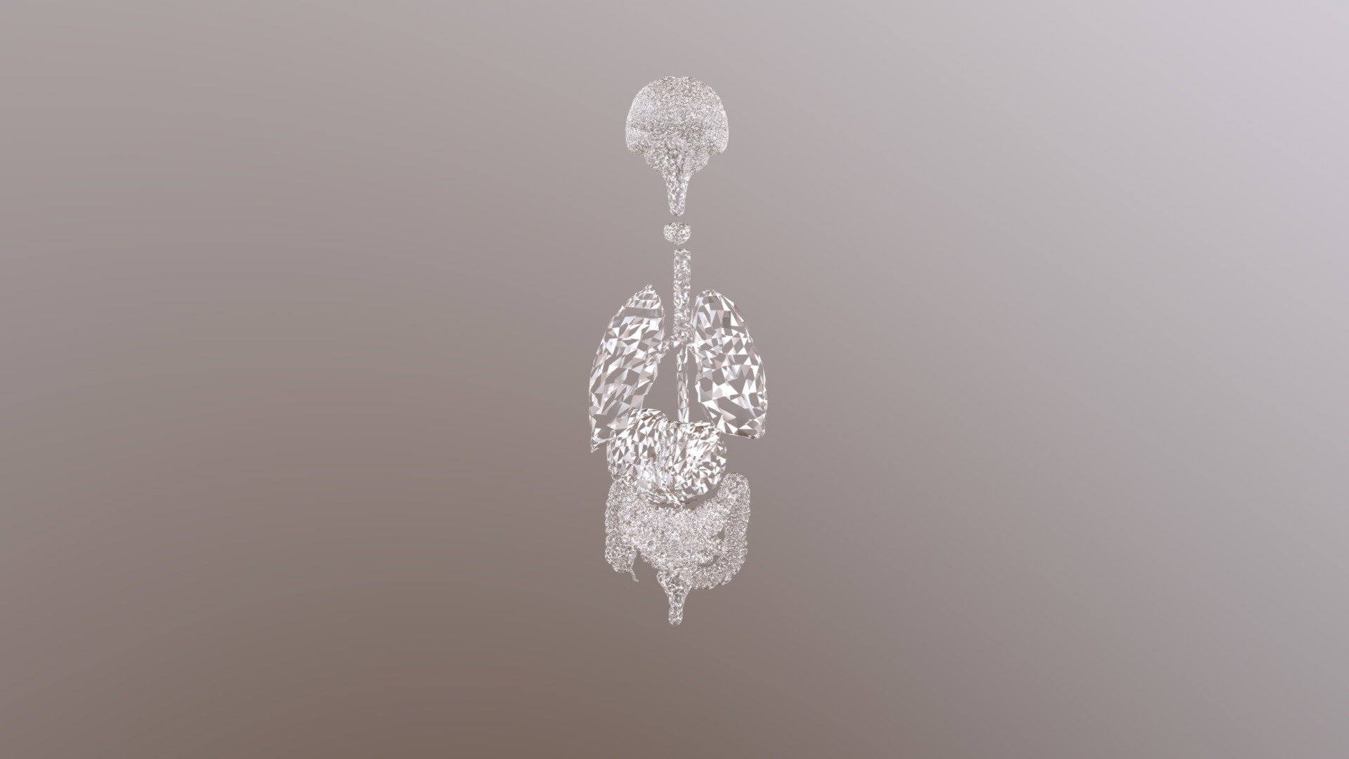 organs - 3D model by mattcawte [a9f1008] - Sketchfab