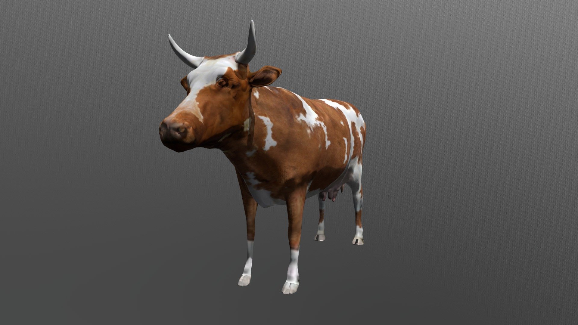 Brown Cow - Buy Royalty Free 3D model by 3dlowpoly [a9f88e3 ...