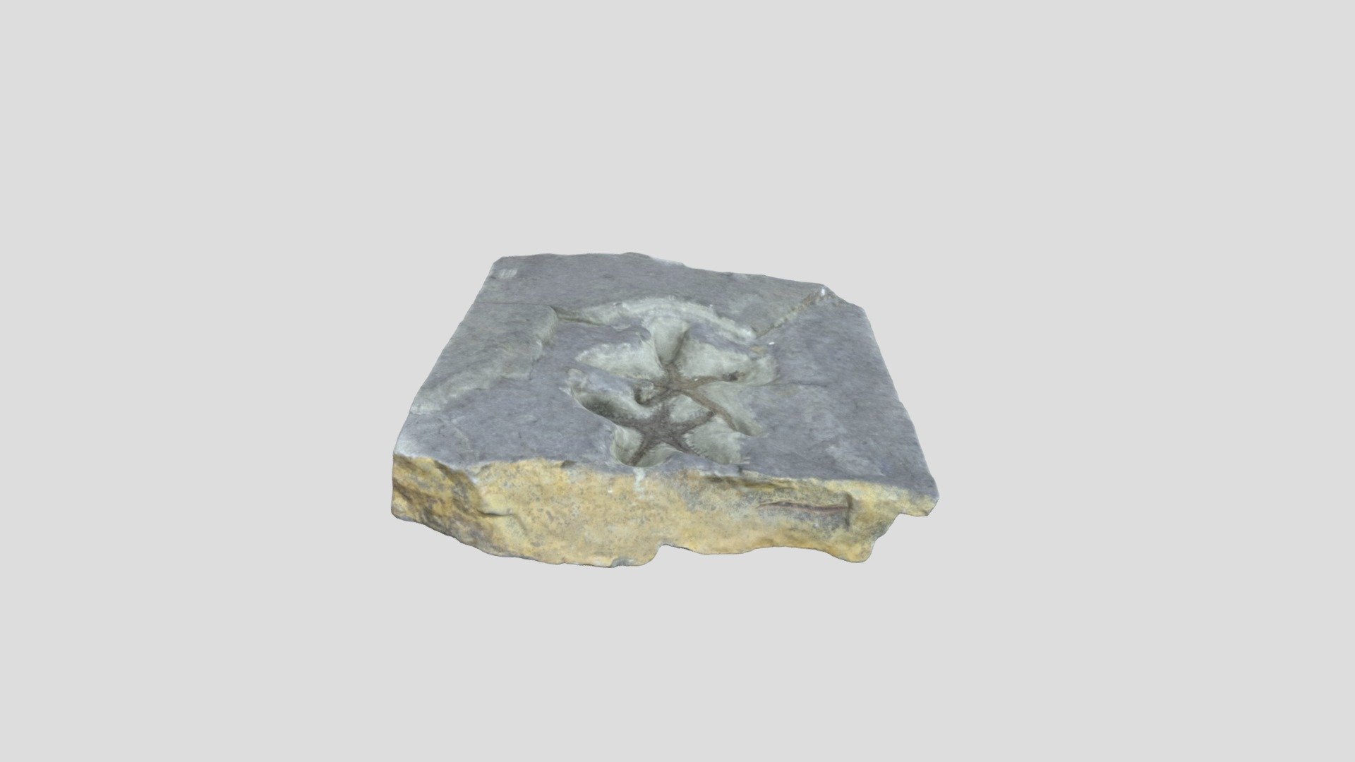 Unknown Specimen - Download Free 3D model by BCGeology [a9faff1 ...