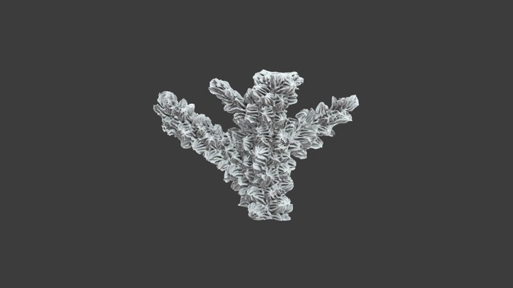Polyp 3D models - Sketchfab