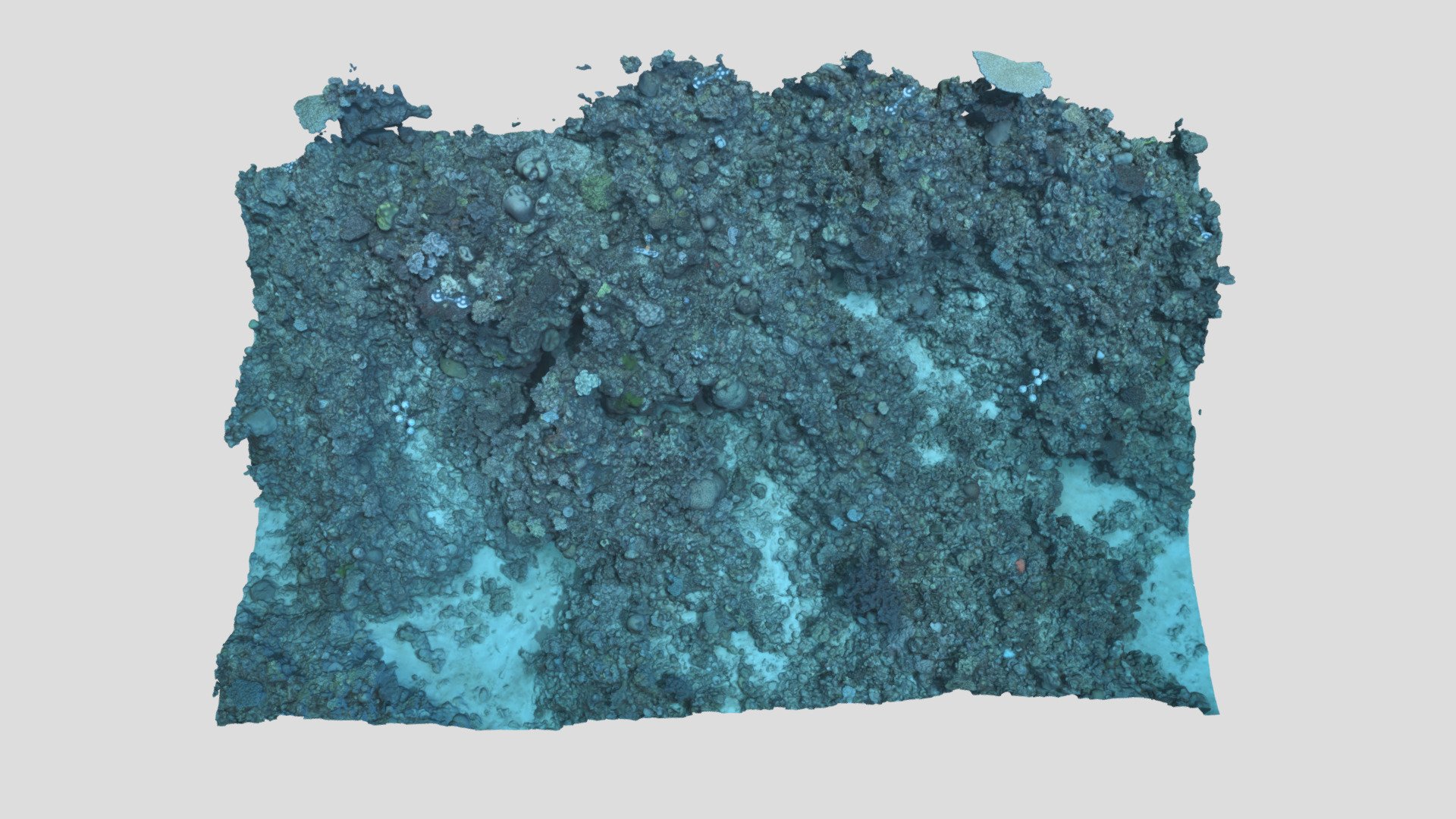 Davies_FL1D_P4_202301 - 3D model by EcoRRAP (@AIMSEcoRRAP) [aa040e2 ...