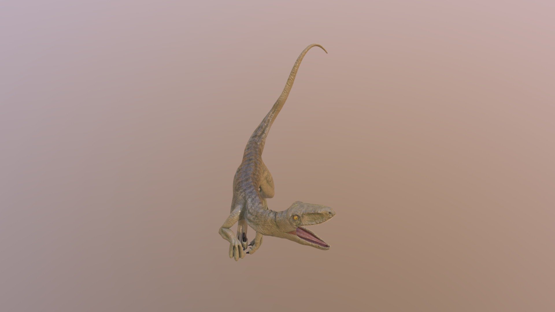 Raptor - 3D model by Simtech_srl [aa0593e] - Sketchfab
