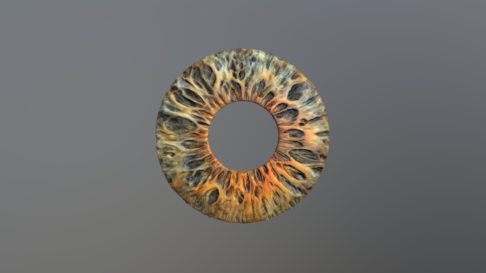 Human iris - Buy Royalty Free 3D model by humantouchillustration ...