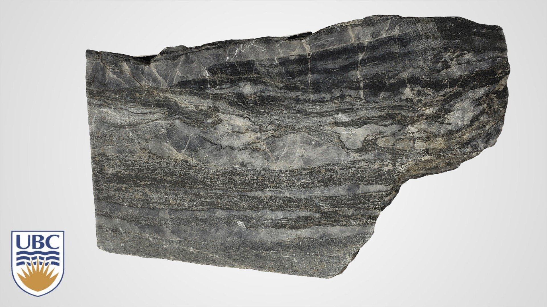 Sigma Mine 1904W (Orogenic Au) - 3D model by Nichole Moerhuis (UBC ...
