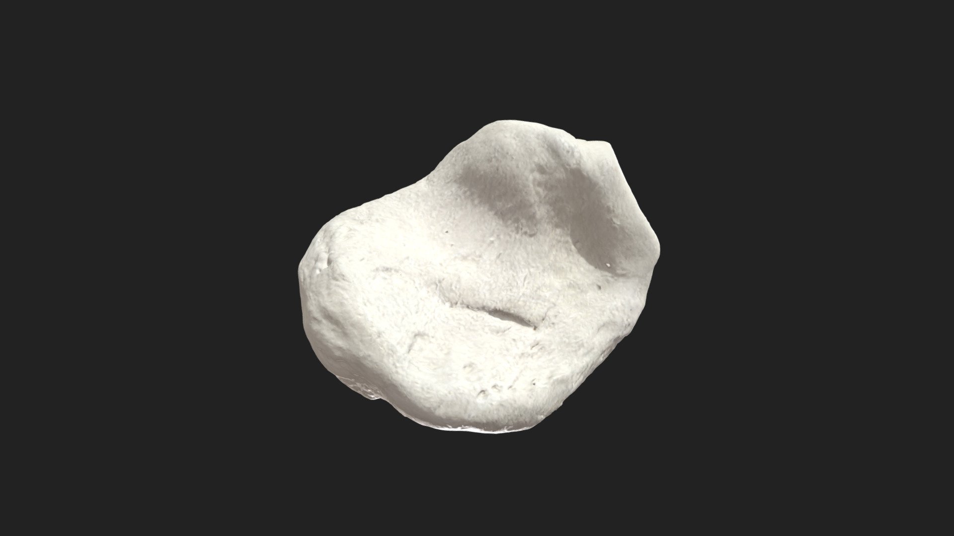 pisiform bone (Os carpi accessorium) donkey - 3D model by vetanatMunich ...