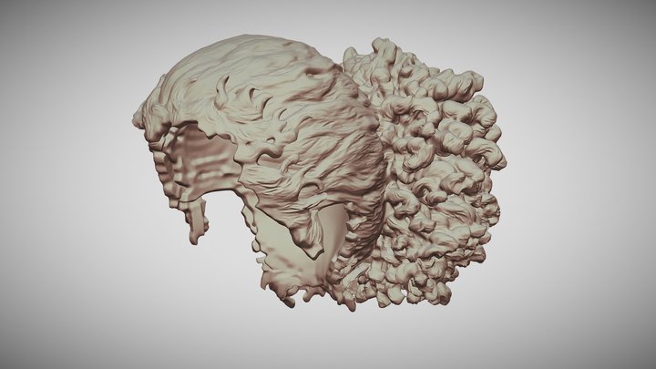Dreadlocks 3D models - Sketchfab