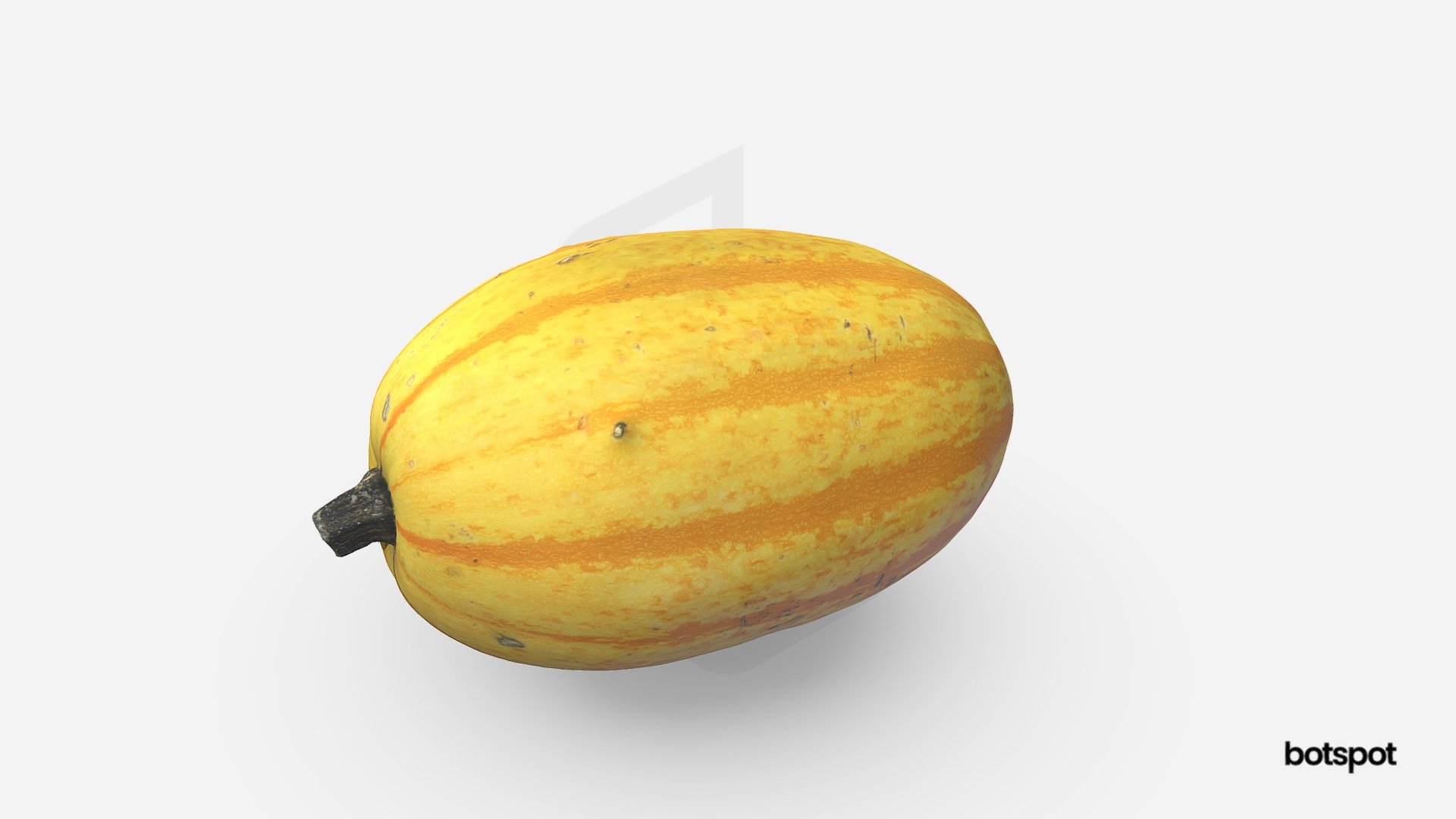 Delicata squash - 3D model by botspot (@botspot3d) [aa29b25] - Sketchfab