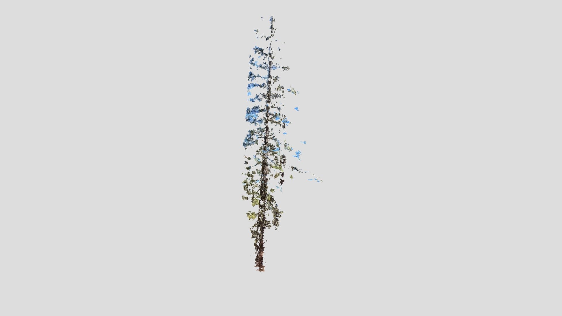 IGARSS 2023 Pix4D - Single Tree - 3D model by thunr [aa29dcc] - Sketchfab