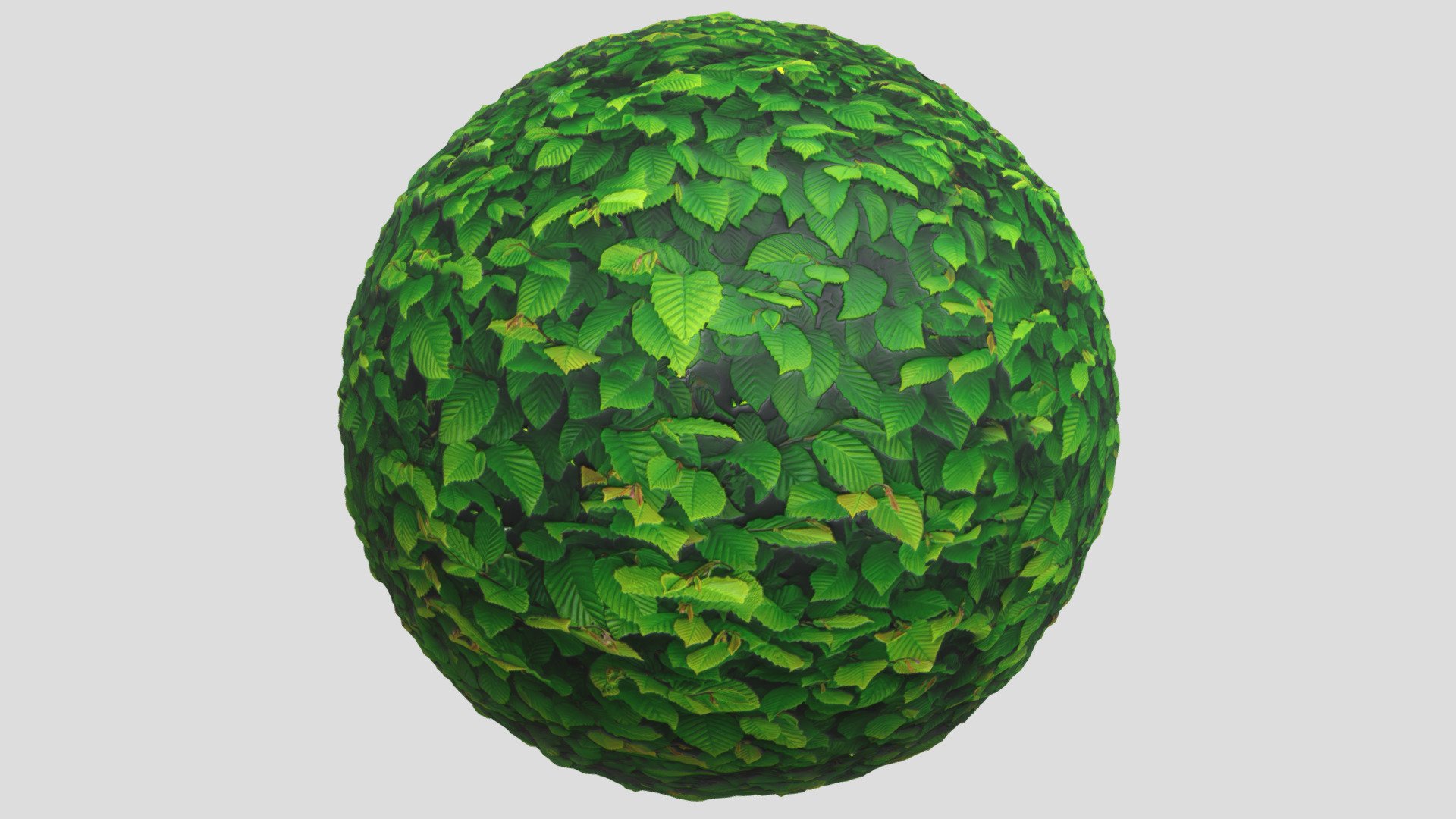 Leaves04 - Download Free 3D model by Publicdomaintextures [aa2a26e ...