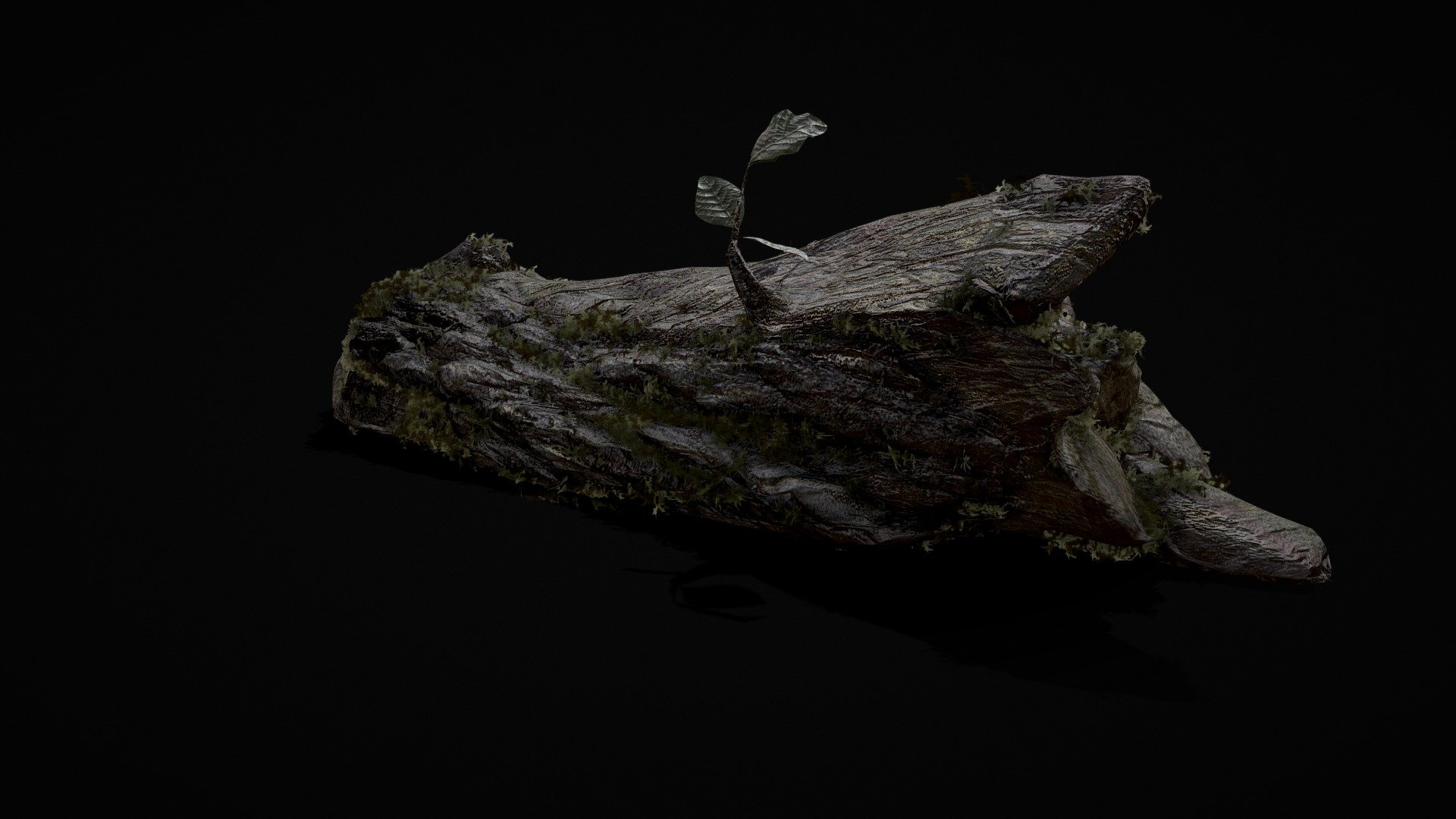 Decaying Log - Buy Royalty Free 3D model by urrmet [aa37b1c ...