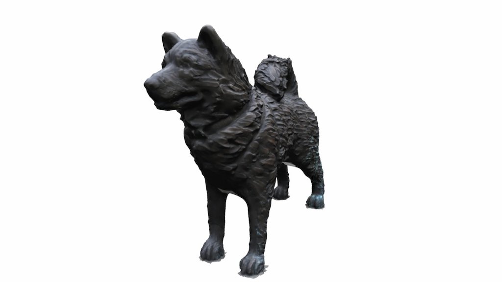 Port Dog - 3D model by coreymnz.work [aa3831e] - Sketchfab