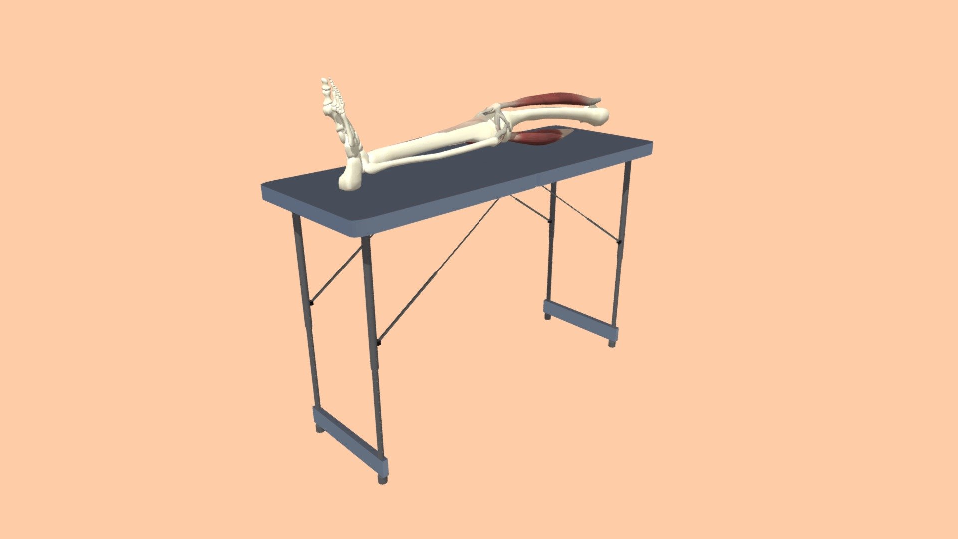 PRUEBA DE LAXITUD DEL VARO Y VALGO - 3D model by SAV. Universidad de ...