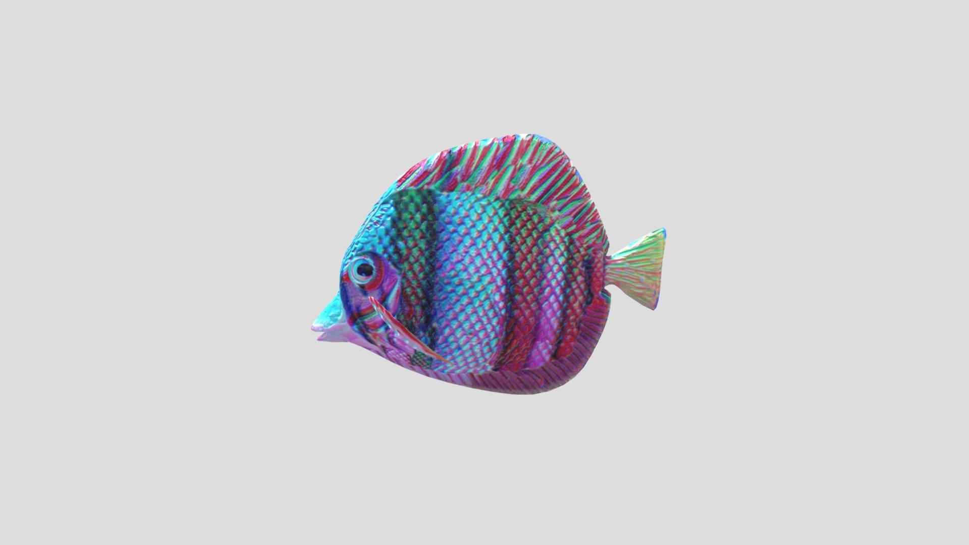 Fish - Download Free 3D model by CreatorShmector [aa4a193] - Sketchfab