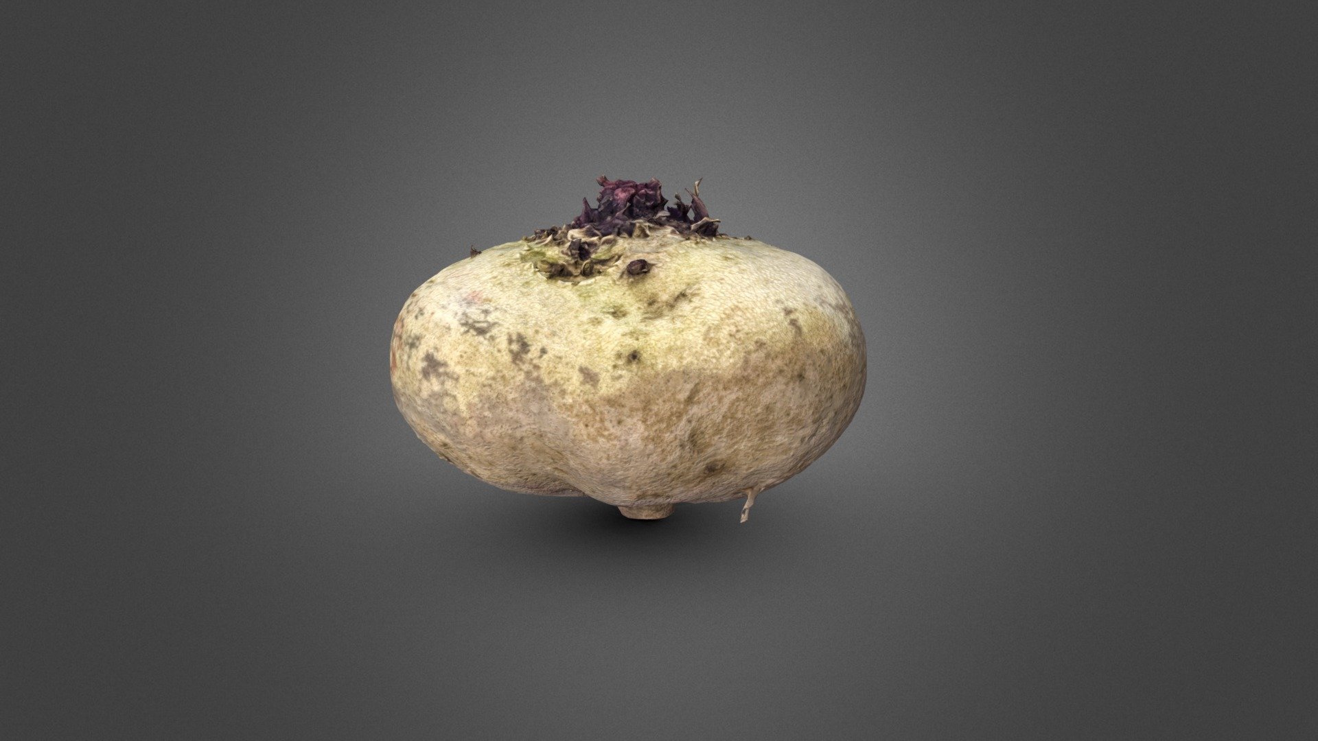 Beetroot - Download Free 3D model by Antoine Dresen (@adresen) [aa4c6b8 ...