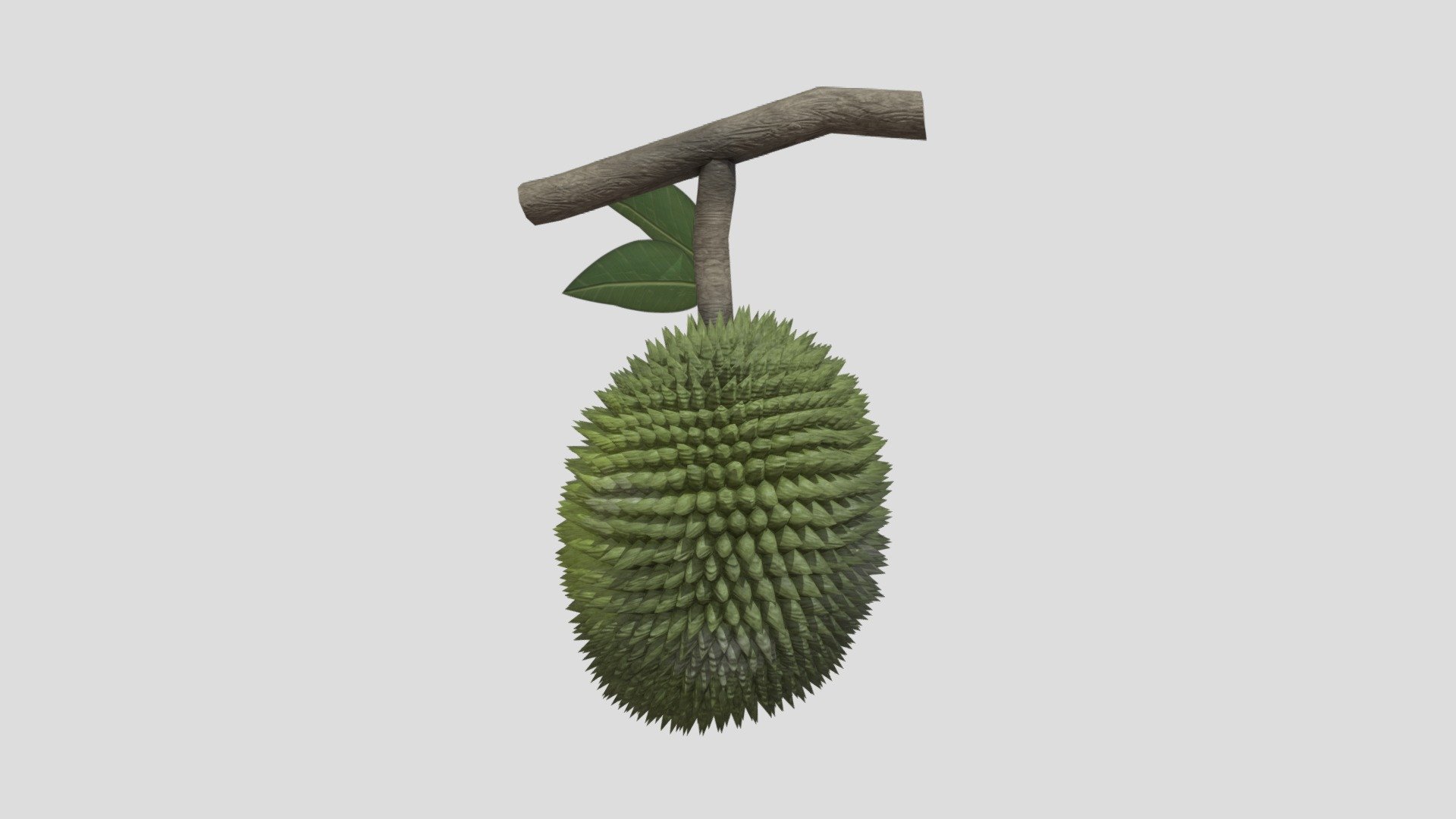 Durian - 3D model by vahnessa [aa6027f] - Sketchfab