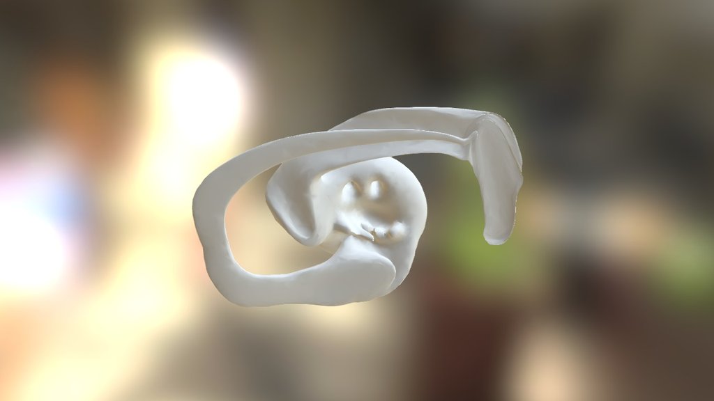 4888 - 3D model by leopoly1 [aa7a30f] - Sketchfab