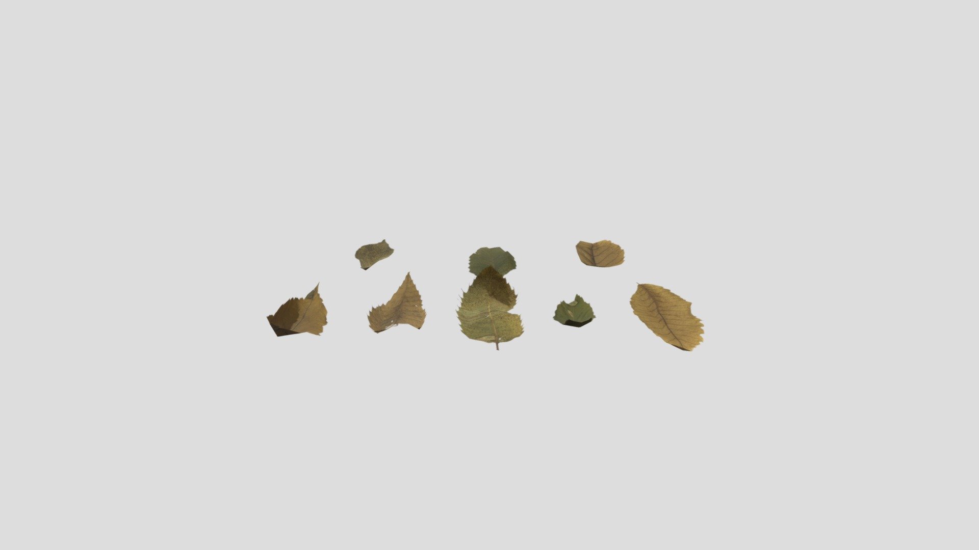 Fallen leaves, - 3D model by landuodehuli [aa92655] - Sketchfab