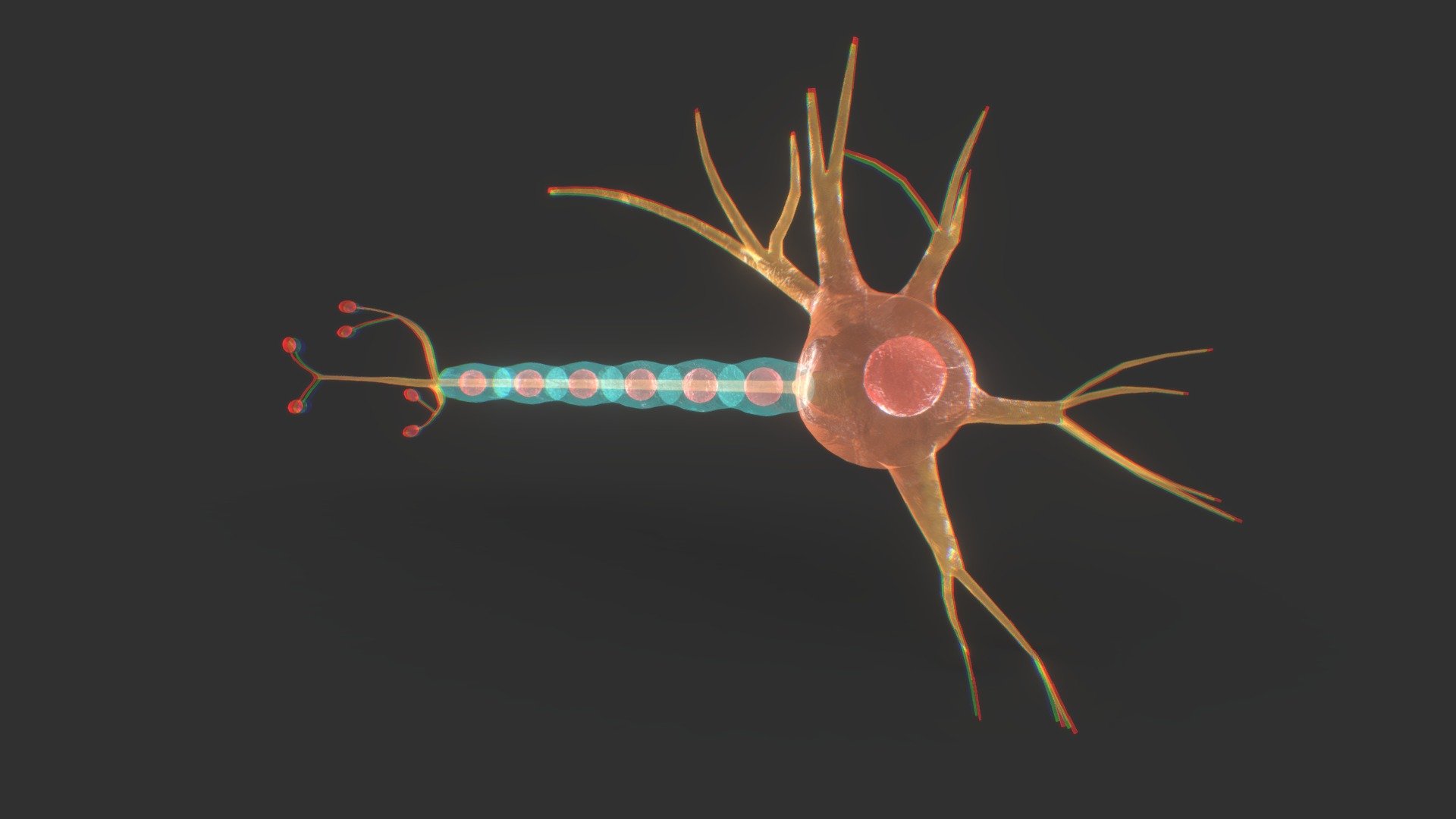 Neuron - 3D model by 3D4SCI [aa95e8f] - Sketchfab