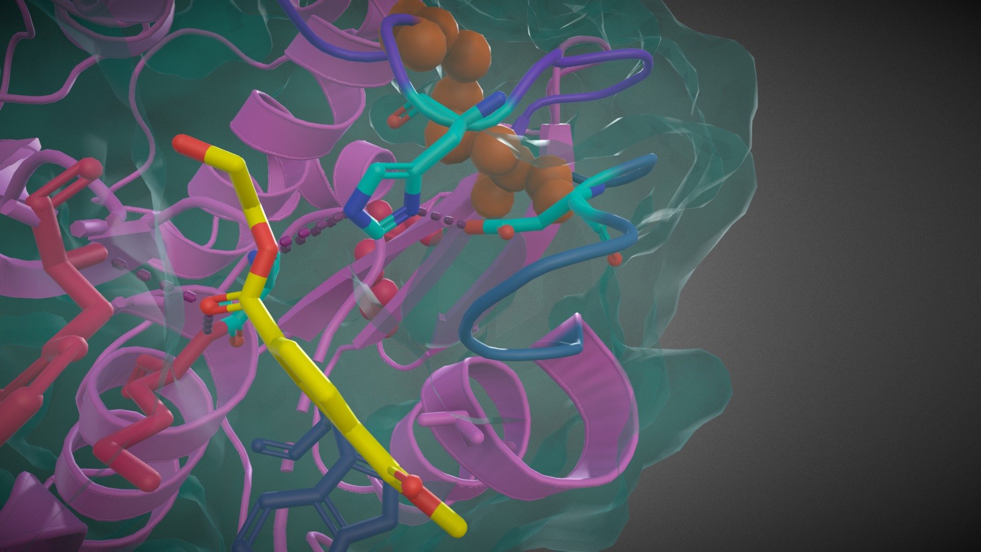 PETase with HEMT Ligand - 3D model by zzebo [aa9cd48] - Sketchfab