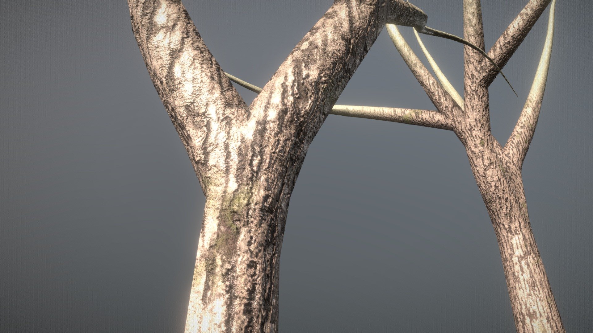 Low-Poly Walnut Trees (WIP-1) - 3D model by VIS-All-3D (@VIS-All ...