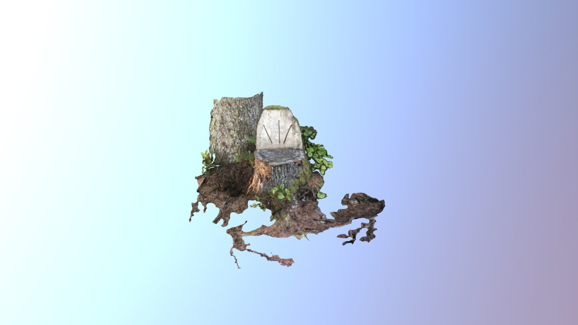 Stump 2 - 3D model by mmashdown [aaa2b7c] - Sketchfab