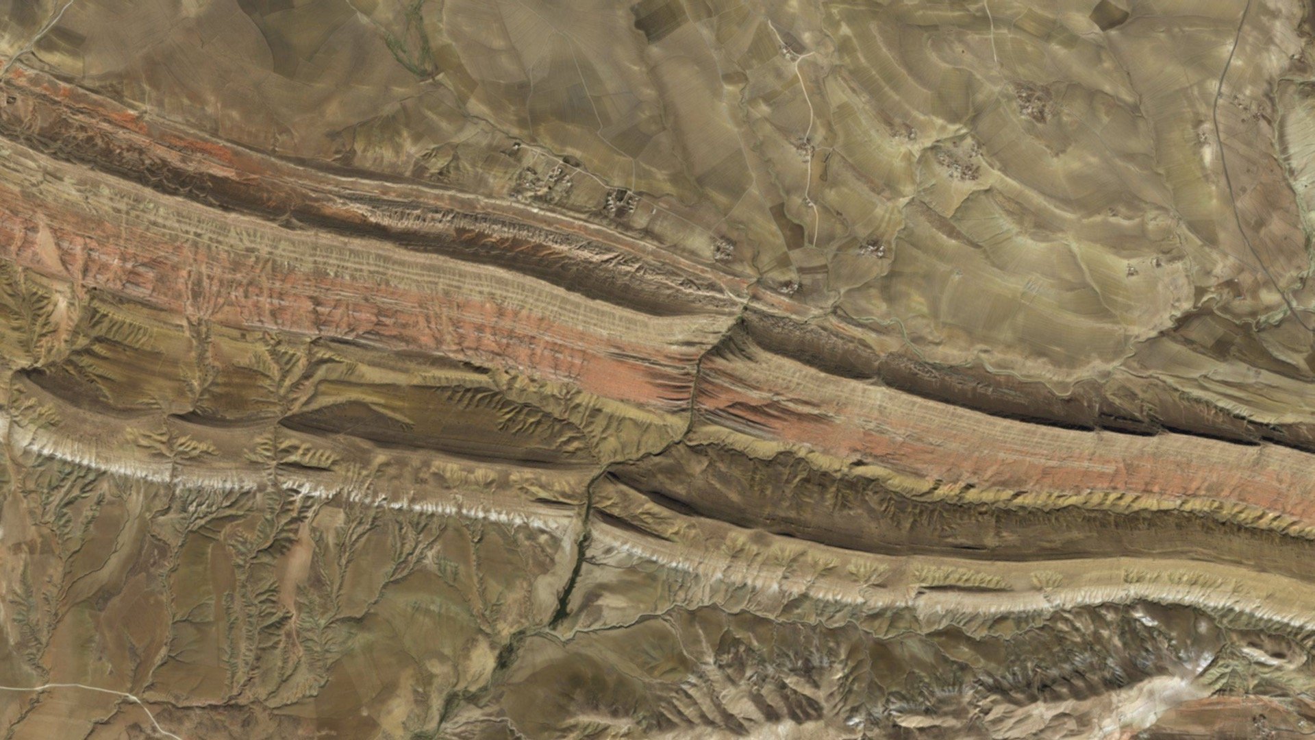 A ridge runs through it - 3D model by Stance Hurst (@Cacti3D) [aaa3c3a ...