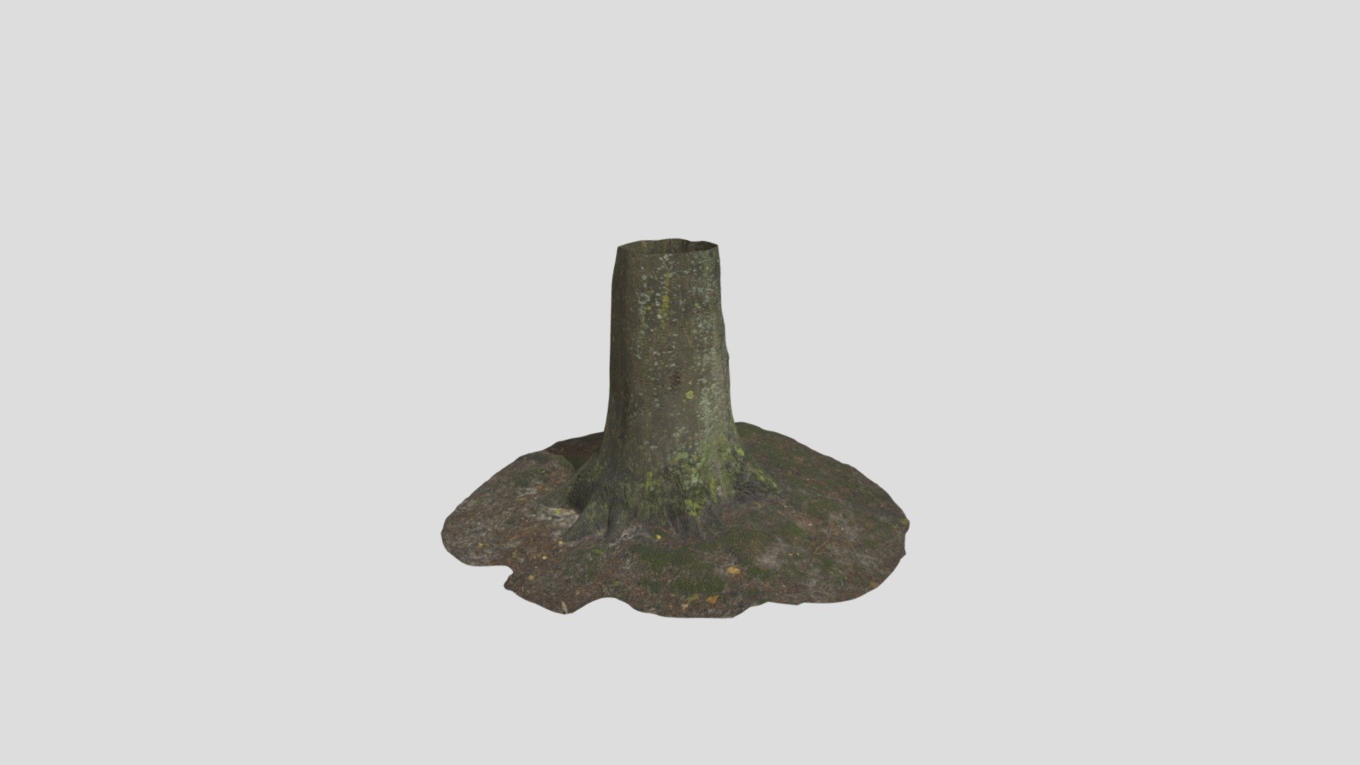 Stump 50 AM255 Archmodel - Buy Royalty Free 3D model by Evermotion ...