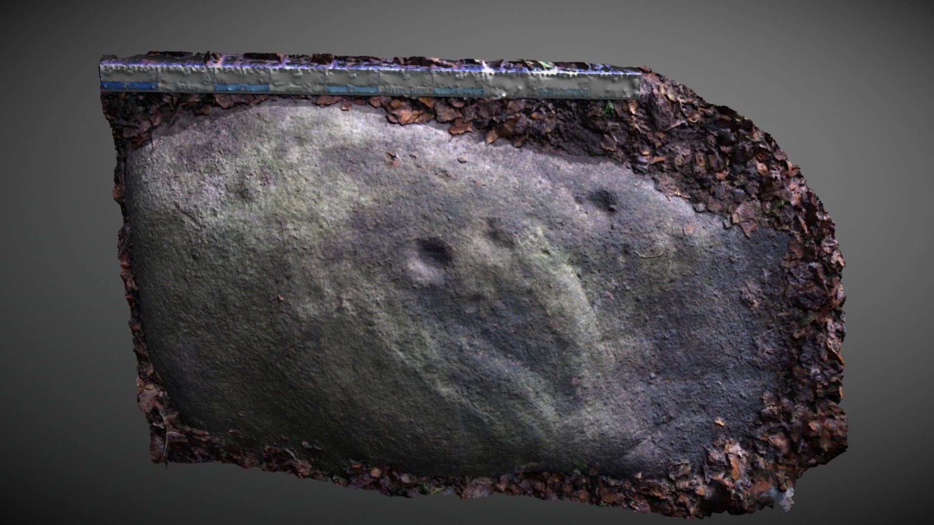 Buck Wood (IAG10d) - Download Free 3D model by England's Rock Art ...