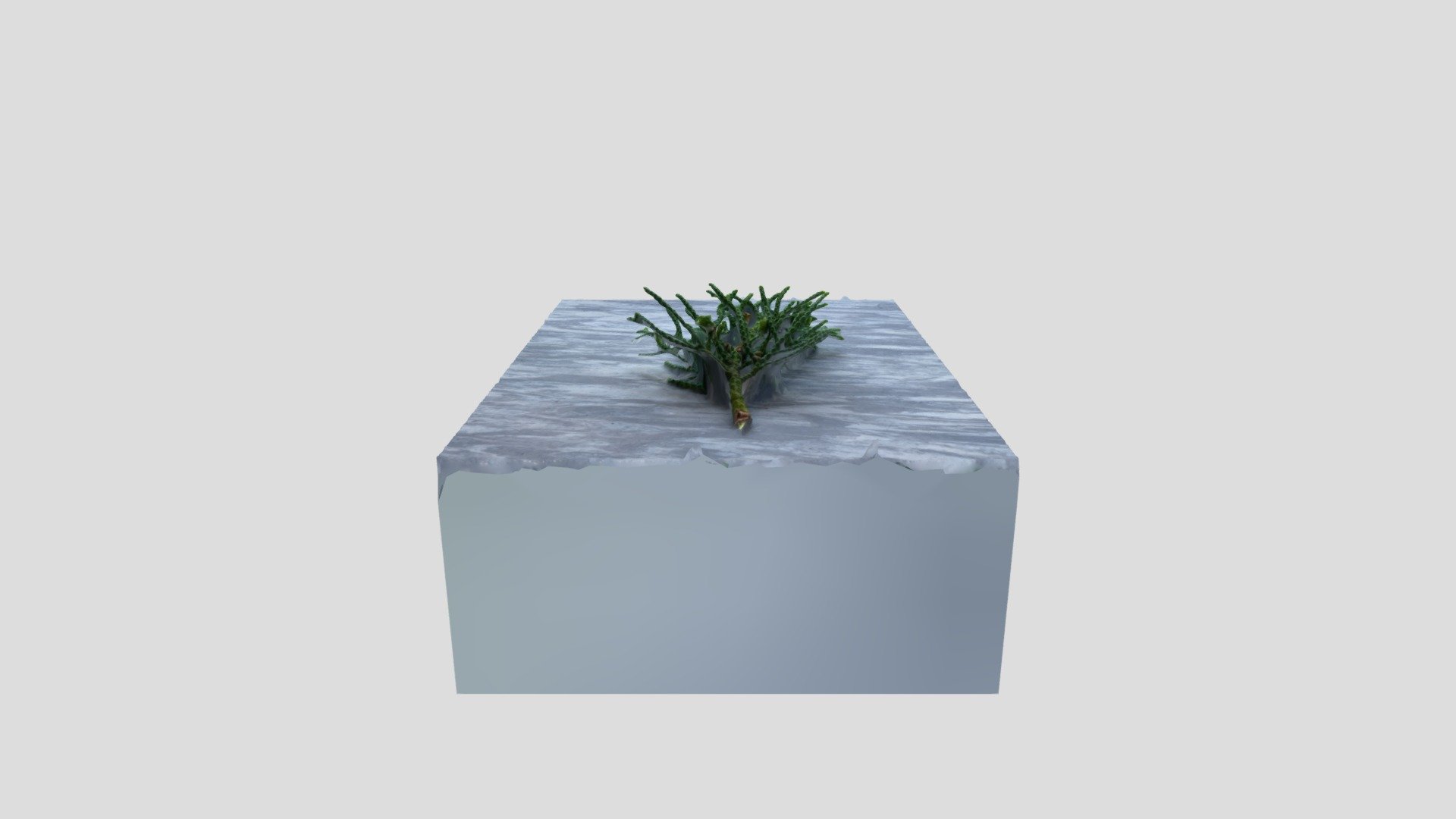 Scan 2023-05-12T07:25:03.289Z - Download Free 3D model by sangyoun20 ...