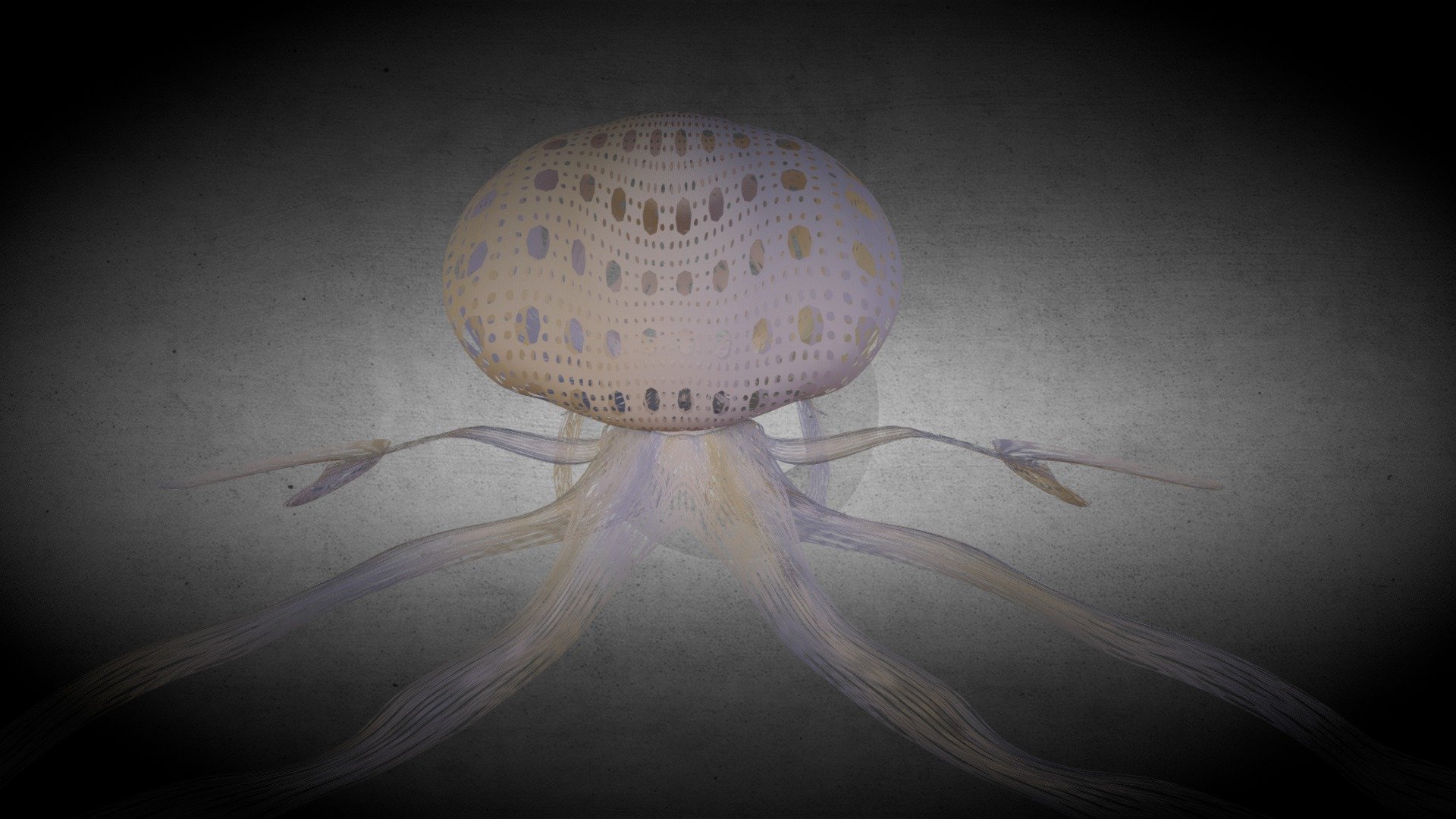 Octopus - 3D model by John Lydon (@JohnLydon) [aaad6cb] - Sketchfab