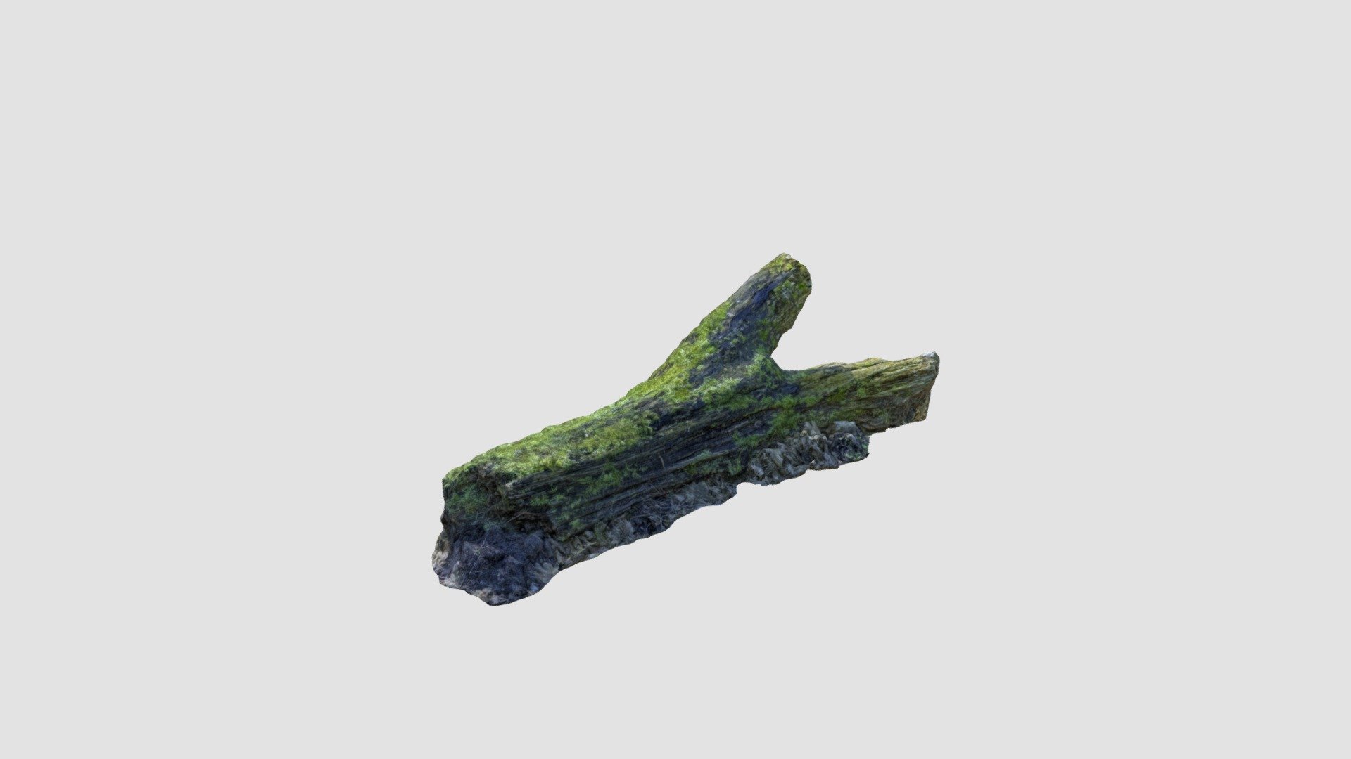 forest element - Buy Royalty Free 3D model by Evermotion [aab482b ...