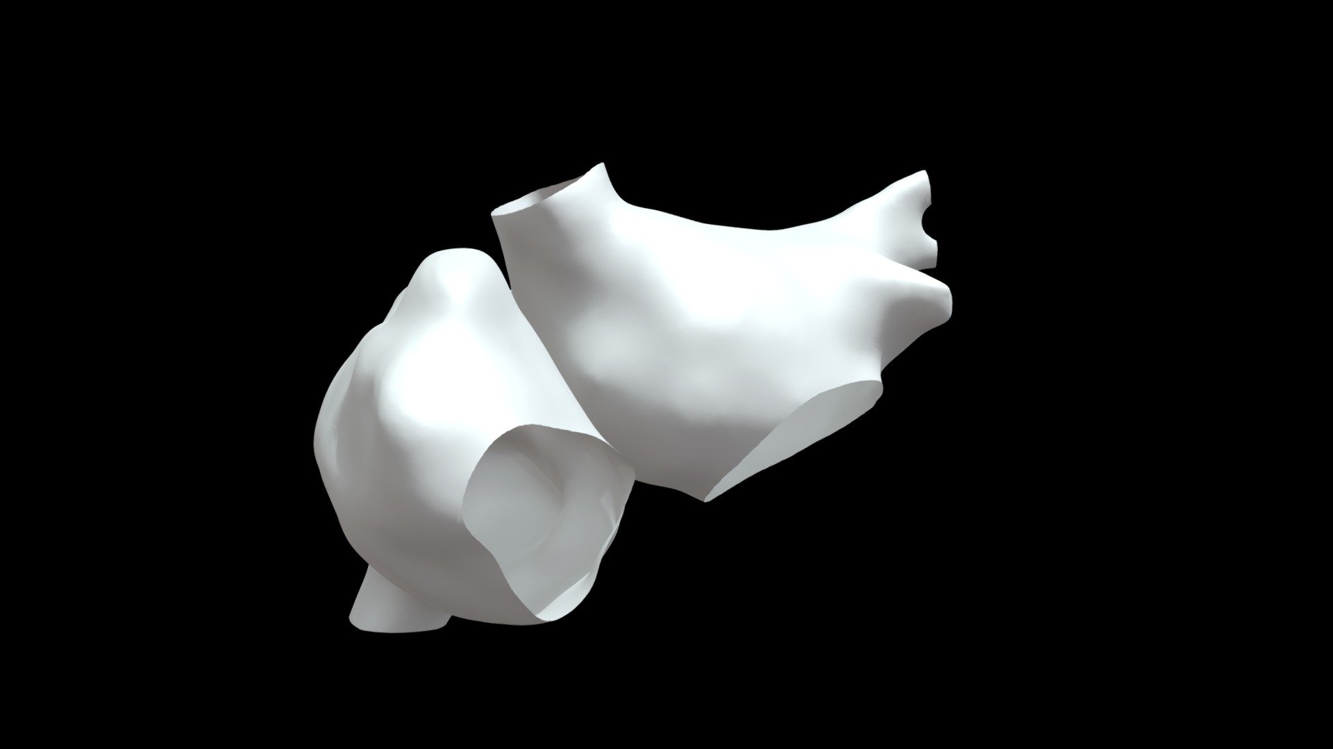 Atrial geo - opaque - unannotated - 3D model by drj (@drjameswinter ...